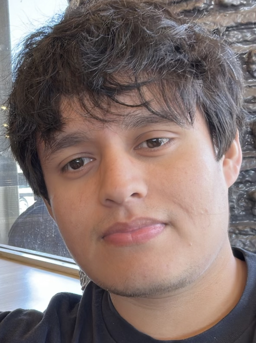 Rony Guerra Jr | Data Analyst